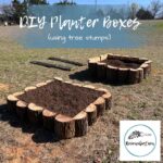 DIY Planter Boxes (using tree stumps) - Reconciliation Inspiration